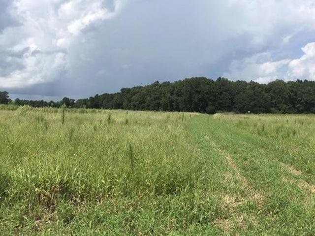 30.42 Acres Atlantic Breeze Dr Grv Lot Waterway, North Myrtle Beach, SC 29582