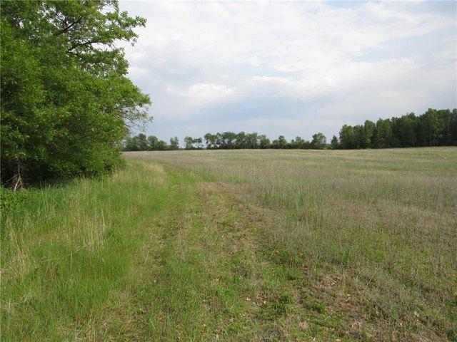 Tbd 32nd Ave SW Parcel 12, Backus, MN 56435