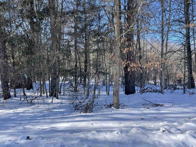 Tbd 34 Holmes St, Lake George, MI 48633