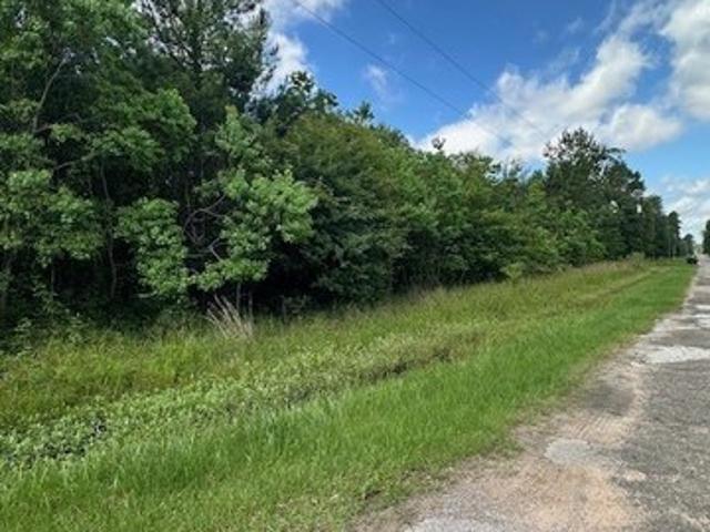 Tbd 7 County Rd # 2223B, Cleveland, TX 77327