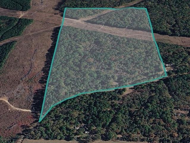 Tbd 40 County Road 4244, Pittsburg, TX 75686