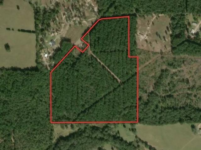 Tbd 42 Acres County Road 3116, Winona, TX 75792
