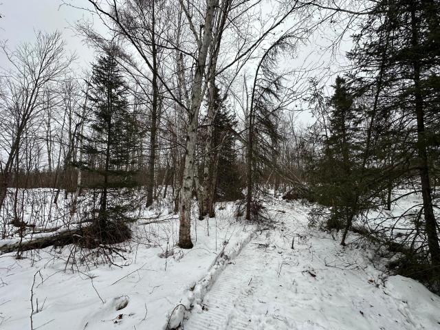 Tbd #4 Koecher Rd, Kerrick, MN 55756 | MLS #7002 | Compass