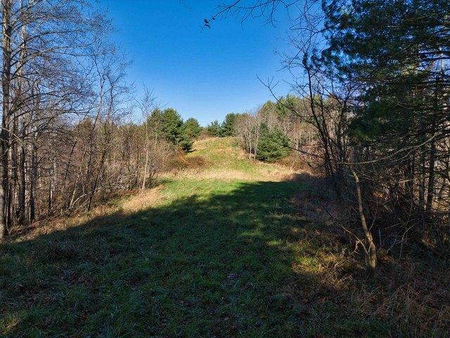 Tbd 50 Ac Thunderstruck Rd NE, Floyd, VA 24091