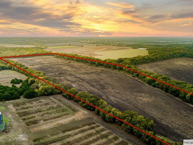 Tbd 54.757 AC County Road 4642, Trenton, US, TX