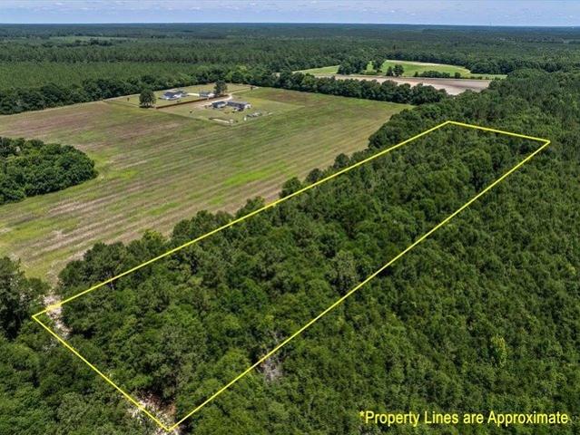 Tbd 5 3 Acres Springtown Rd, Bamberg, SC 29003