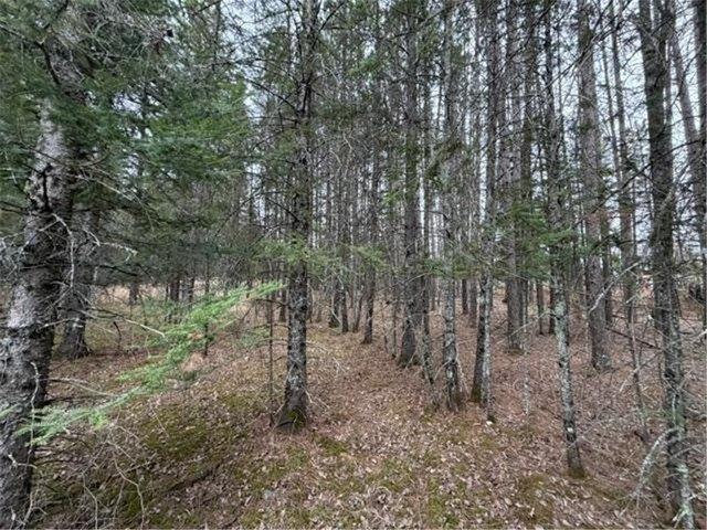 Tbd 5th St SE, Cook, MN 55723