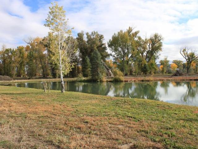 Tbd 6360 Dr Lot 1, Montrose, CO 81403