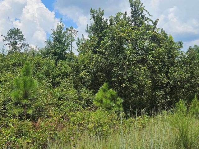 Tbd 66th St, Live Oak, FL 32060
