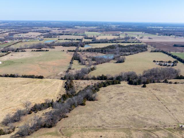 Tbd +/ 69 acres county rd 362, new bloomfield, mo 65063