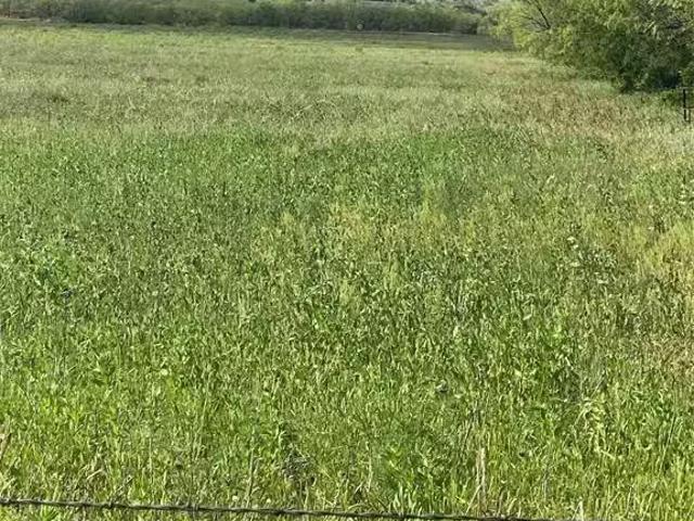 TBD 71.4 Acres County Road 186, Ovalo, TX 79541