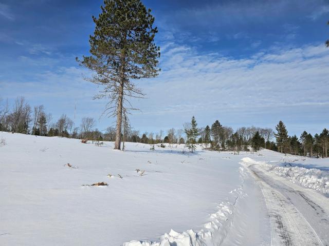 Tbd 75.5 Acres off Co Rd CF Road
