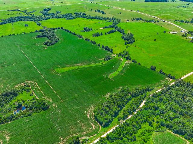 Tbd 76+/ acres county road 2450