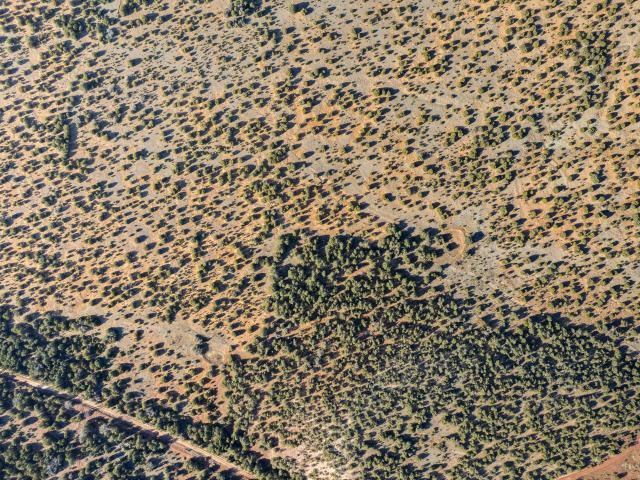 TBD 83 Acres