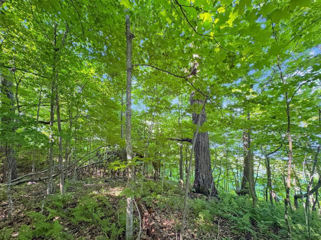 Tbd 85th St, Frederic, WI 54837 | MLS #7064