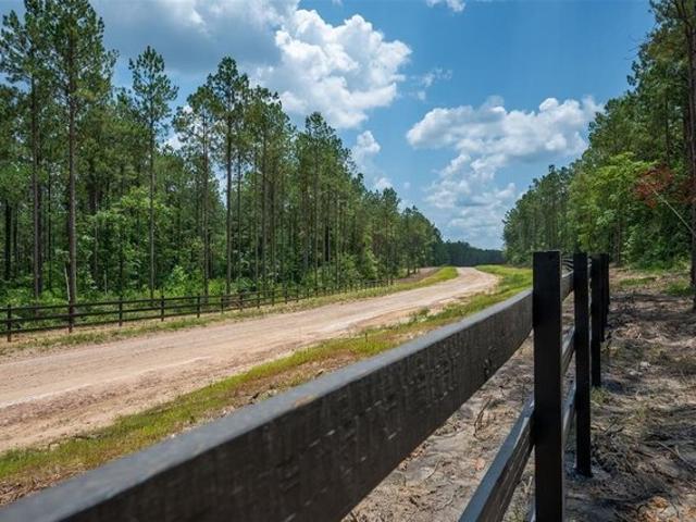 Tbd 8 Timberland Branch Dr, Woodville, TX 75979