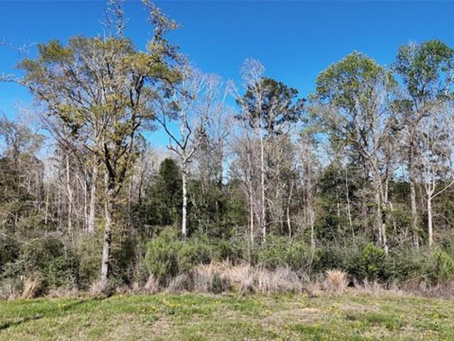 Tbd 8 and 9 Aggie Ave, Livingston, TX 77351