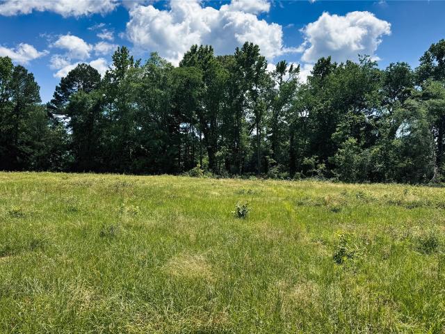 TBD #8 County Road 477