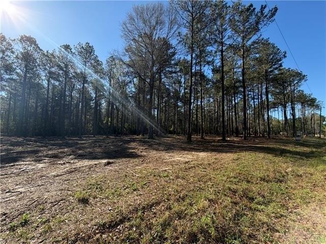 Tbd 9 74 Acres Tatoo Rd, Glenmora, LA 71433