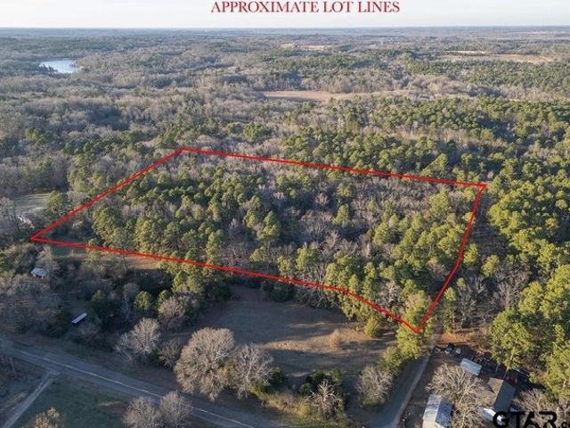 Tbd 9 91 Acres Pr # 6662, Mineola, TX 75773