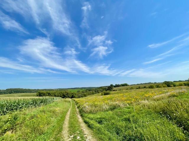 Tbd c county 8