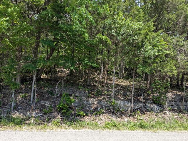 TBD Cottonwood Lane