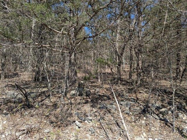 Cottonwood Ln Lot 14, Holiday Island, AR 72631