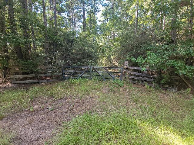 TBD Cotten Lane