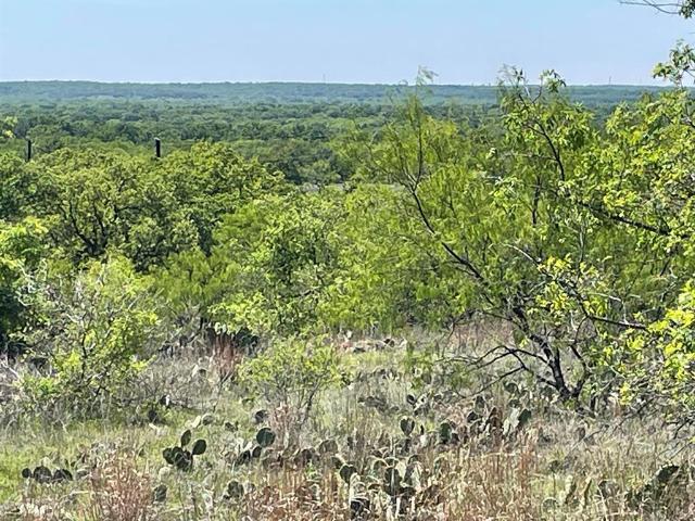 Tbd County Rd, Cisco, TX 76437 | MLS #21216