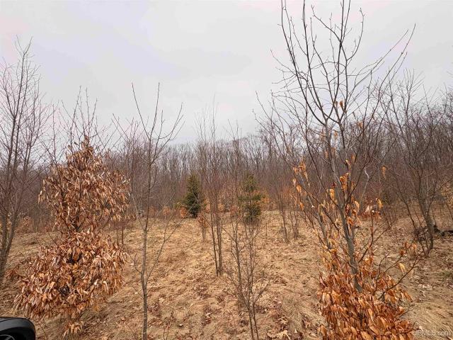 TBD County Rd L 8 Road