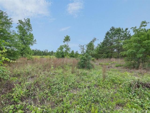 Tbd County Rd Lot 20C, Bastrop, TX 78602