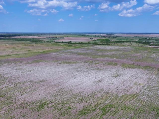 TBD County Rd 1070
