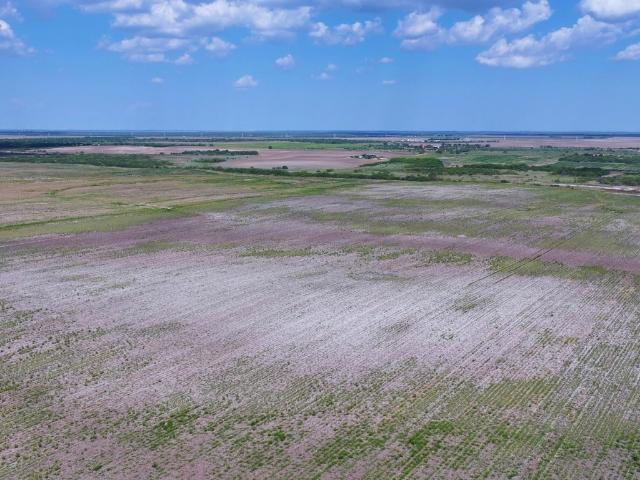 TBD County Rd 1070 S 100 AC
