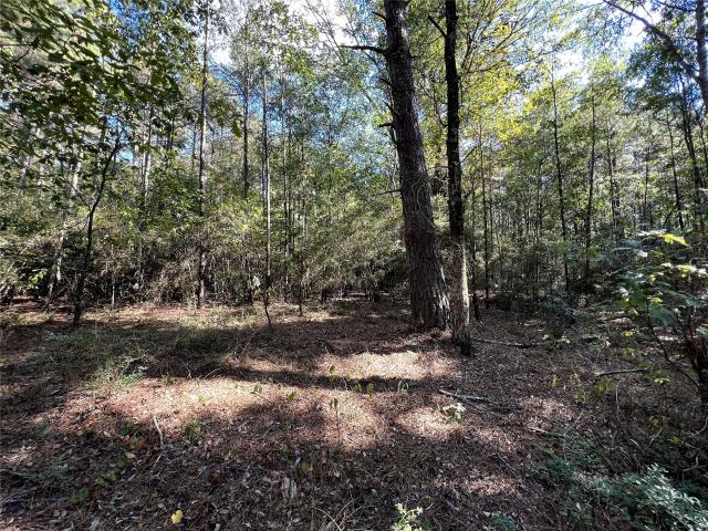 TBD County Rd 2940