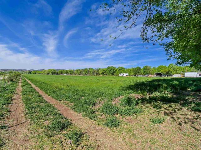 TBD County Rd 56