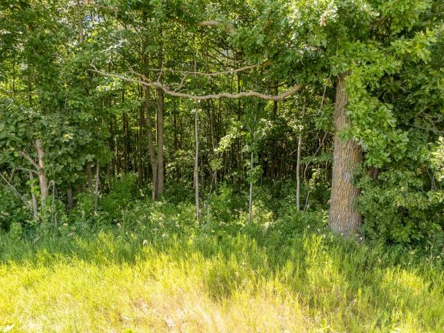 TBD County Road 3
