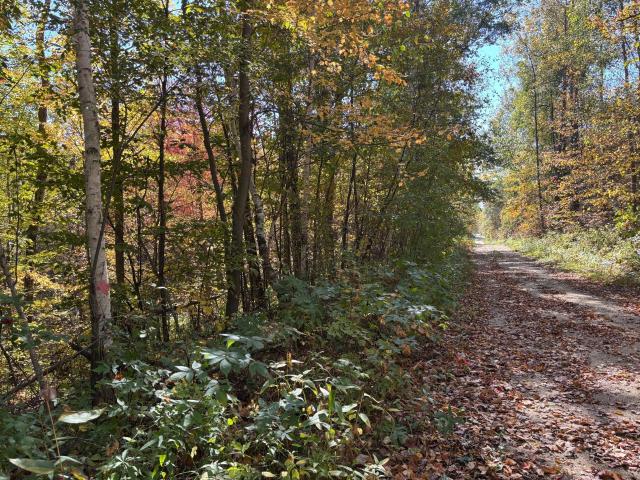 TBD County Road 12