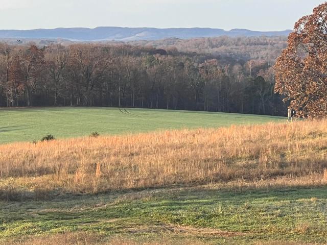 Tbd County Road 14 252