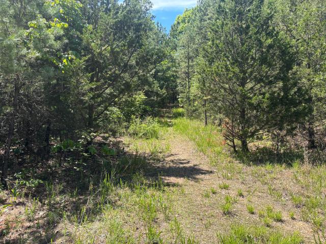 Tbd County Road 154