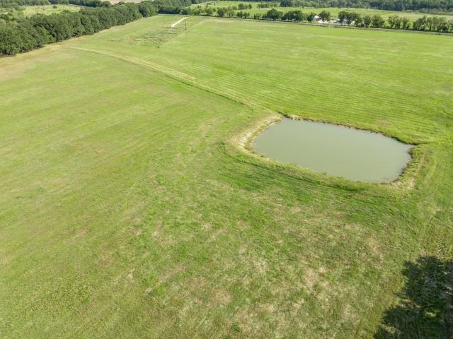 TBD County Road 155