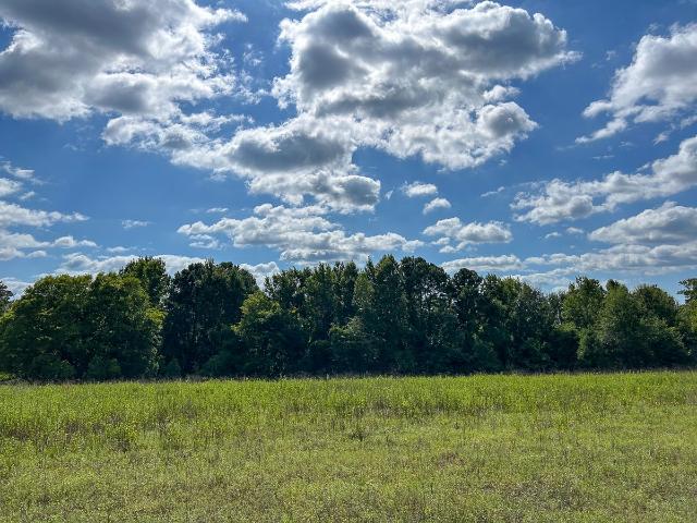 TBD County Road 1804