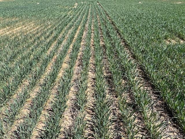 TBD County Road 19