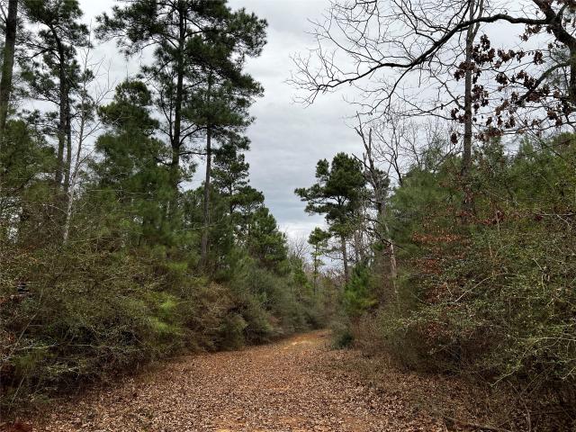 TBD County Road 207