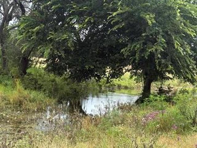 TBD County Road 200