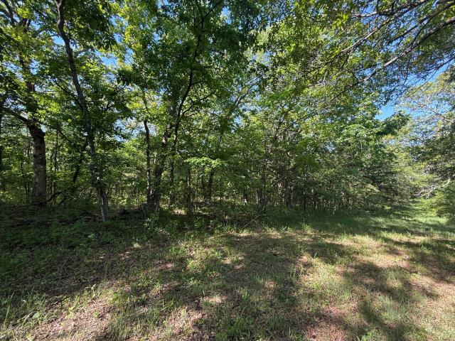 Tbd County Road 203
