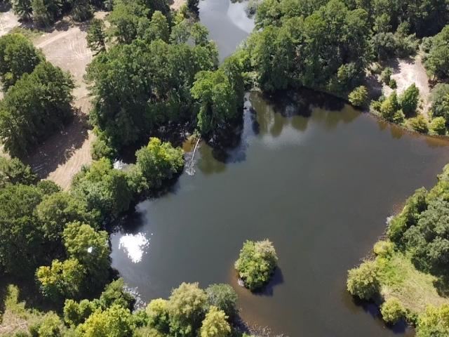 Tbd county road 21681 east off fm 223