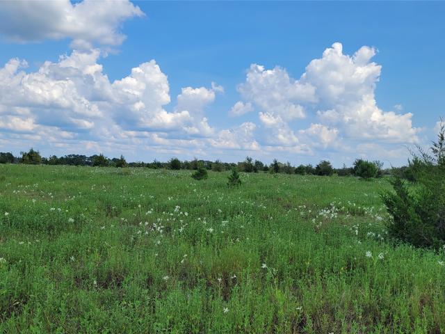TBD County Road 213