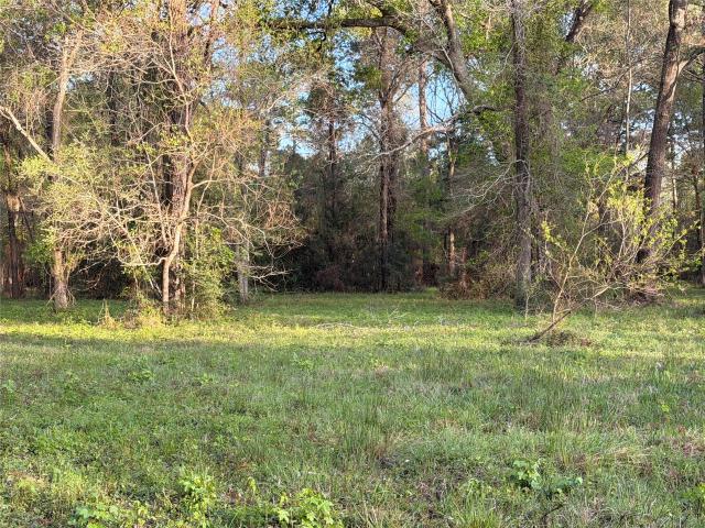 TBD County Road 2284 Freddie Rice Road