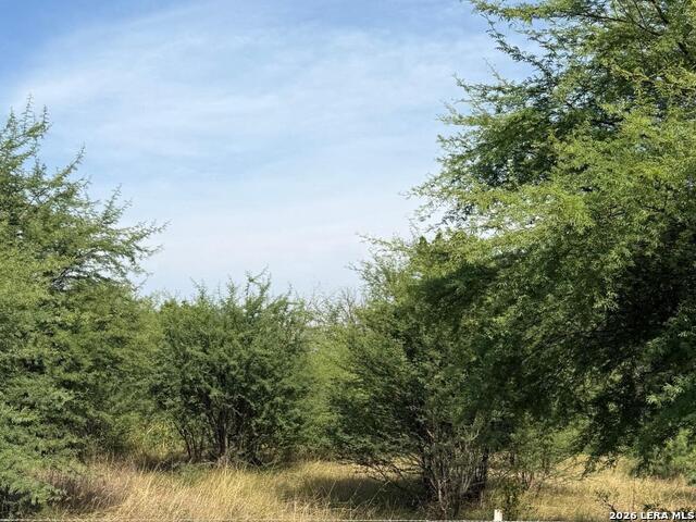 TBD County Road 2472