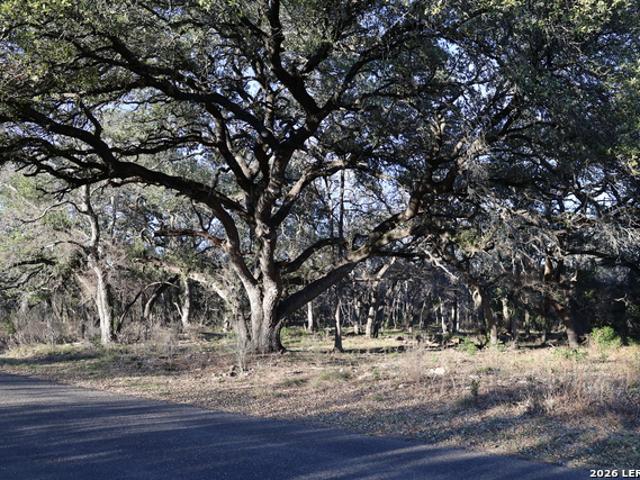 TBD County Road 241